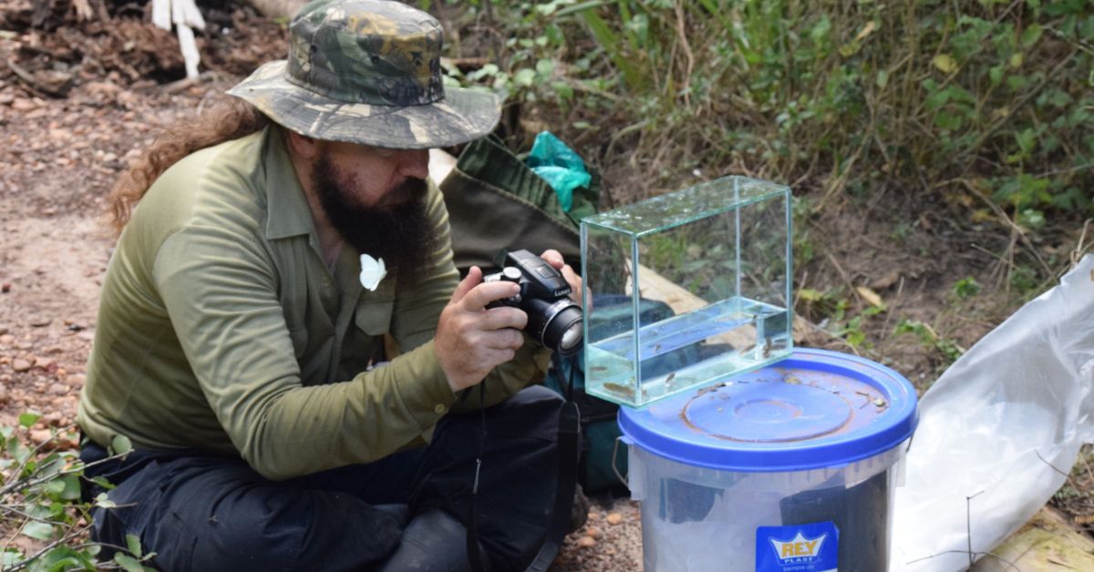 Descubren una nueva especie de pez capaz de respirar fuera del agua