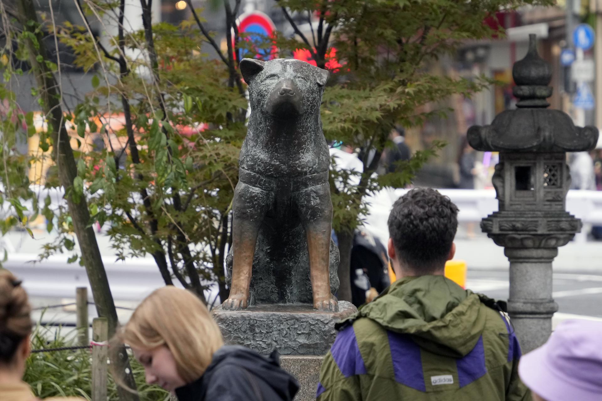 Hachiko cumplió 100 años y fue homenajeado en Japón
